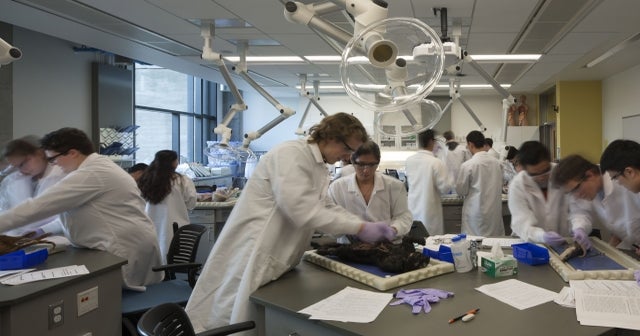 Discovery Hall – University of Washington Bothell | Hermanson Company LLP